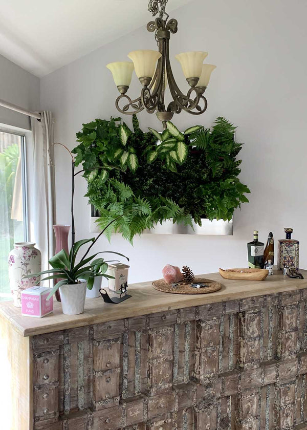 5 Useful Pros and Cons of Indoor Plant Walls For Small Businesses - Soltech