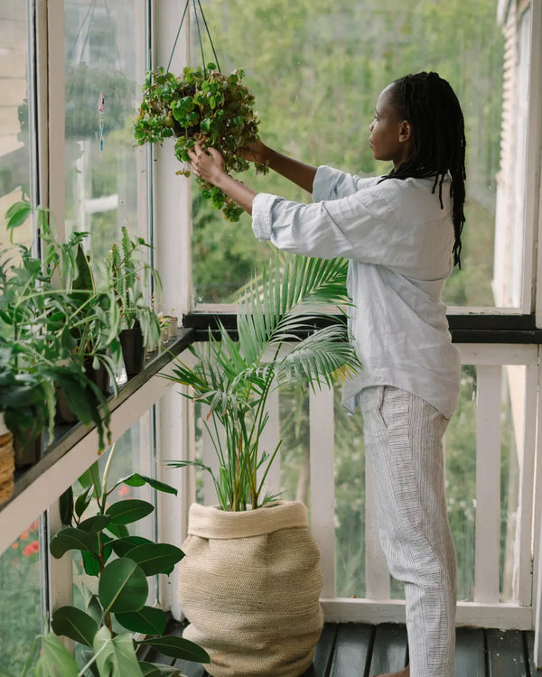 How to Transition Your Plants from Summer Sun to Indoor Grow Lights: S - Soltech