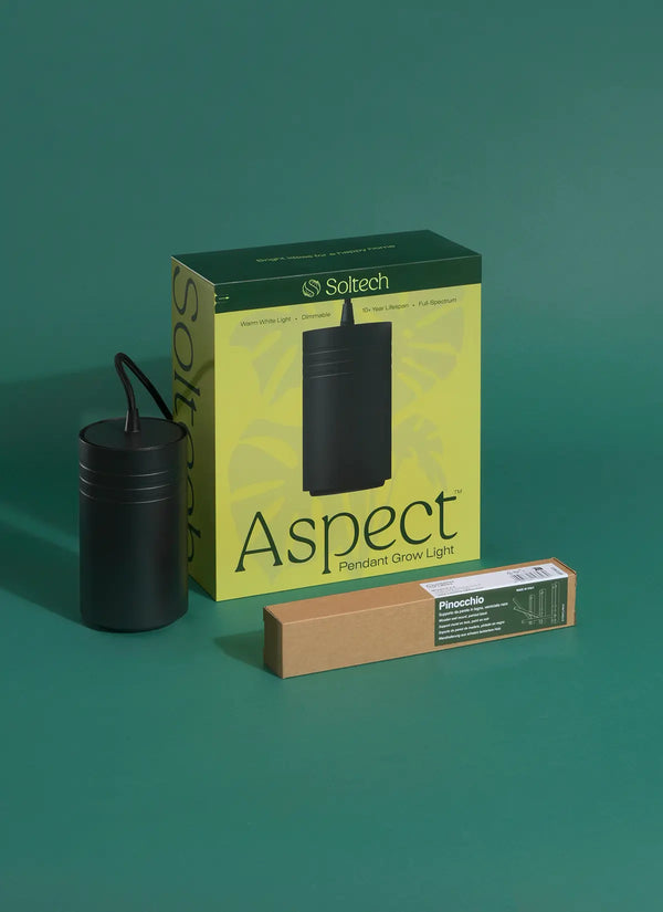 Rise & Shine Bundle - Soltech