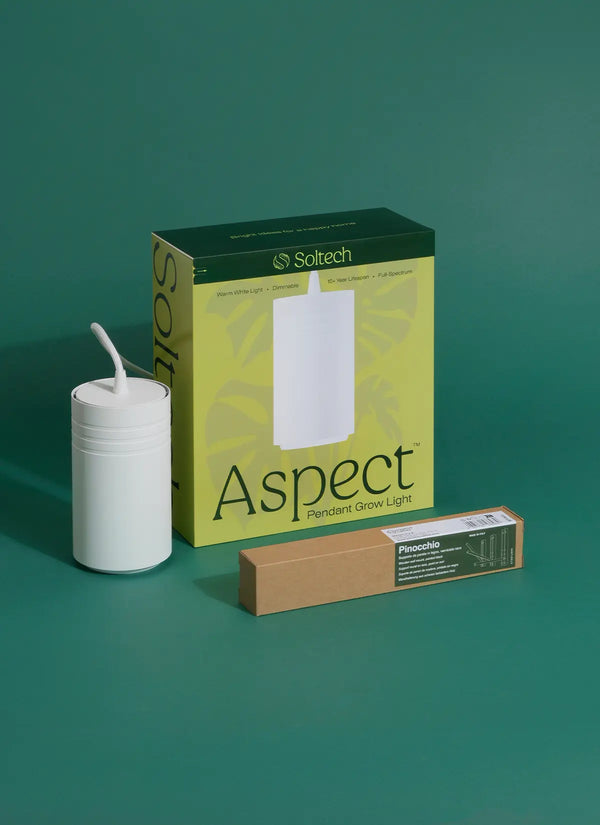 Rise & Shine Bundle - Soltech