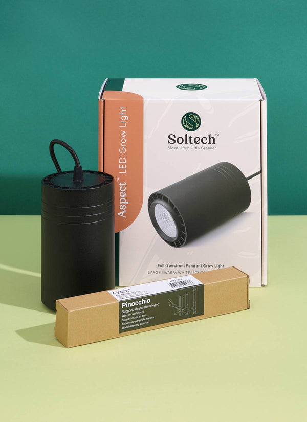 Rise & Shine Bundle - Soltech
