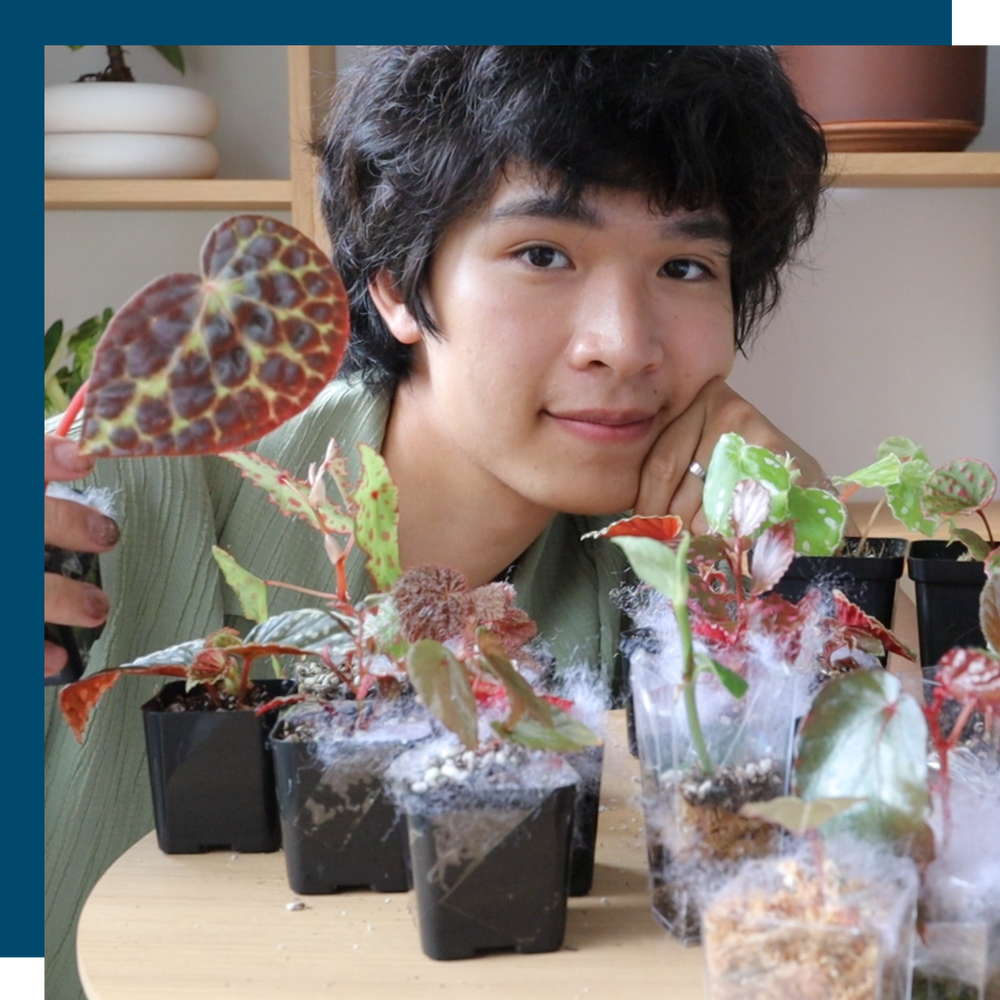 Benji Le | Taking off on TikTok and Planning a Plant Swap | Wine Down ...