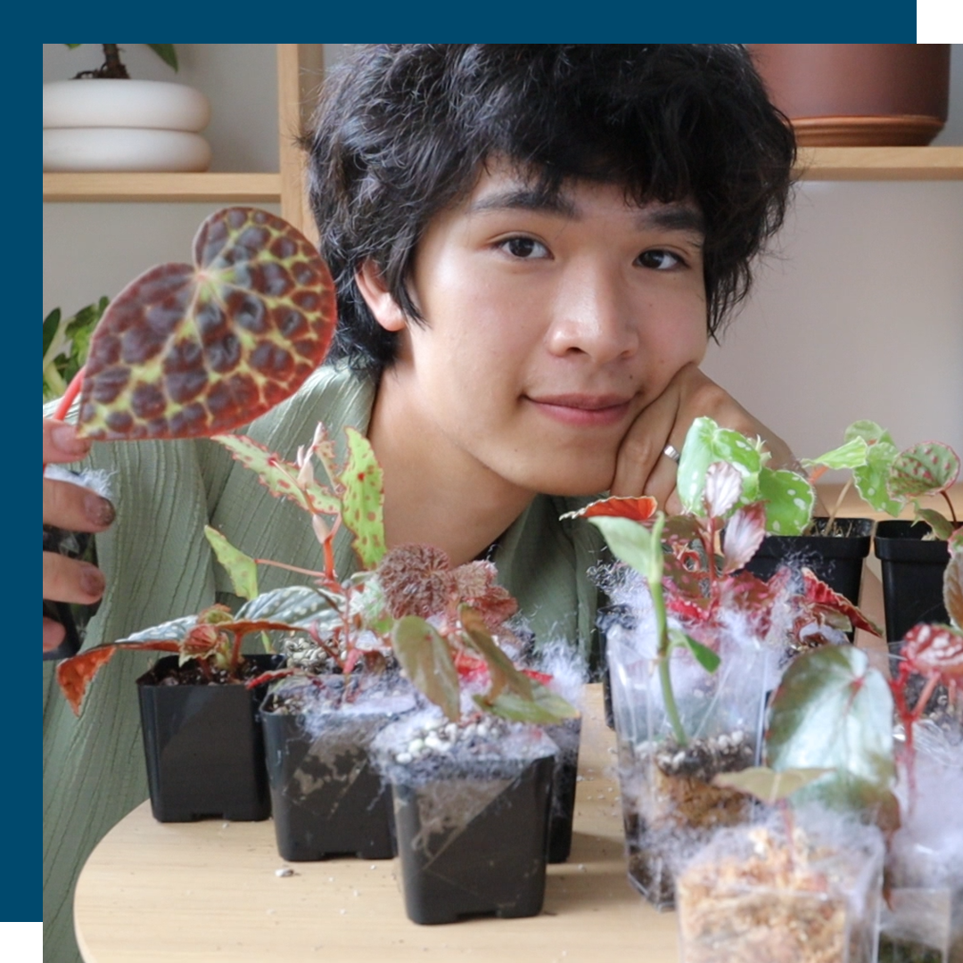 Benji Le | Taking off on TikTok and Planning a Plant Swap | Wine Down ...