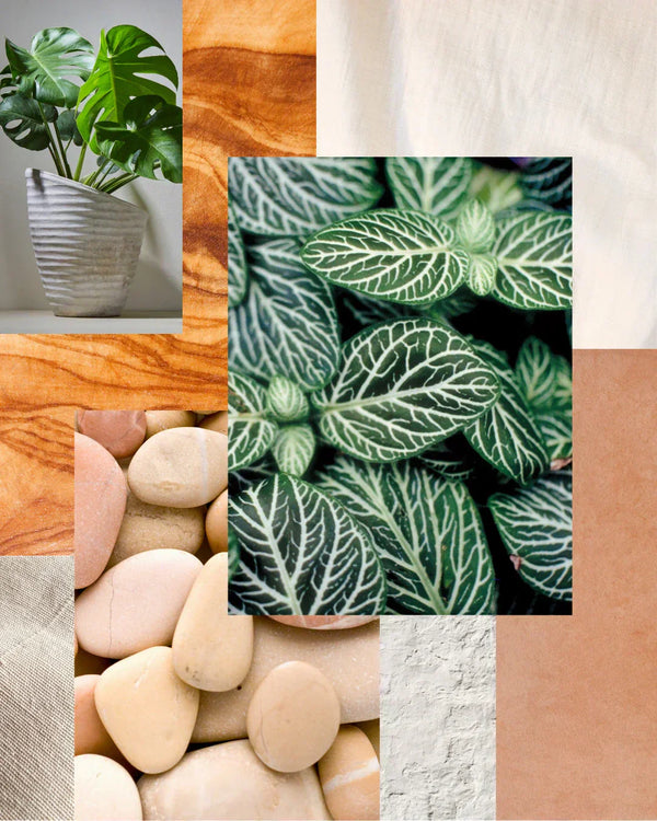 What Is Biophilic Design? The Secret to a Healthier, Happier Home - Soltech