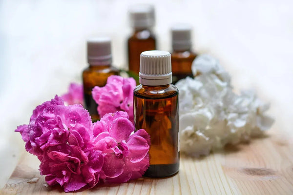 How to Collect Essential Oils from Fresh Plants: A Complete DIY Guide ...