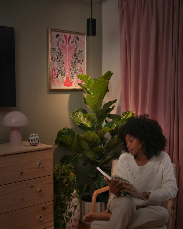 How to Adapt Your Plant Care Routine for the Fall Season - Soltech