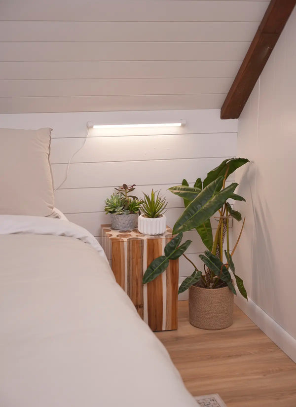 3 Grow Lights That Actually Belong in a Minimalist Home - Soltech