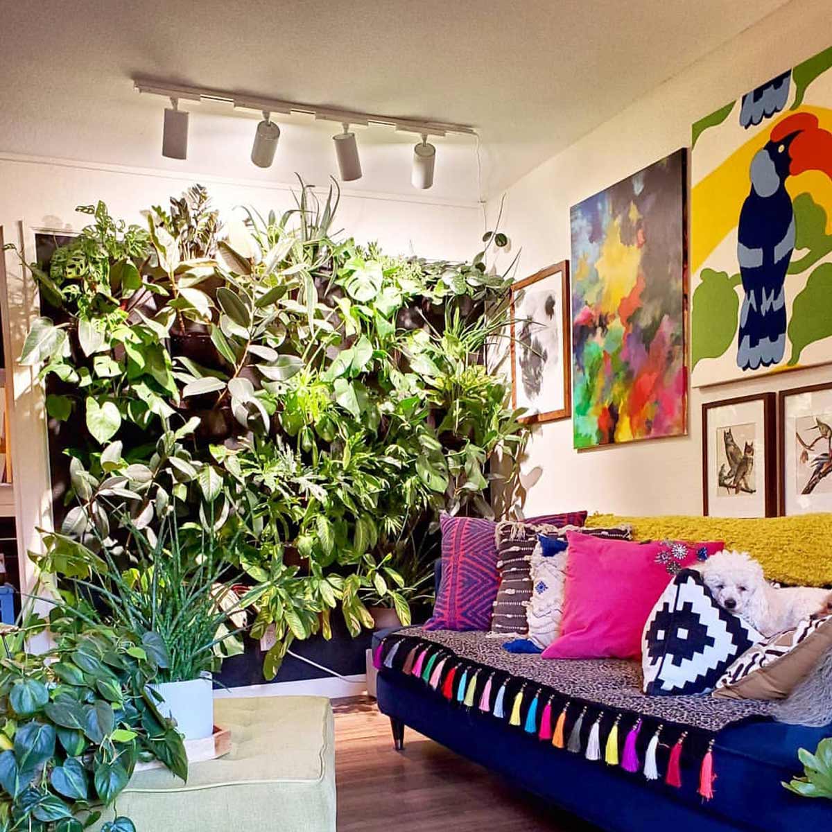 8 Stunning Houseplants with Colorful Foliage: Add Vibrancy to Your Hom ...
