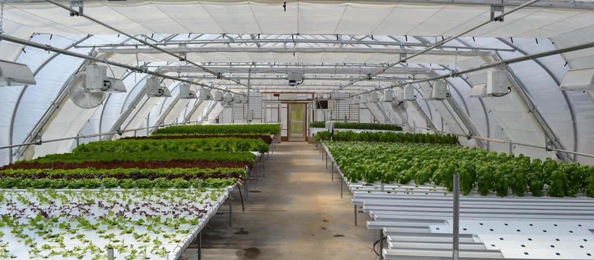 Fox Farm Nutrients Vs. General Hydroponics: Which Is The Better Liquid - Soltech
