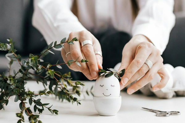 From Kitchen Scraps to Garden Gold: The Power of Eggshells - Soltech