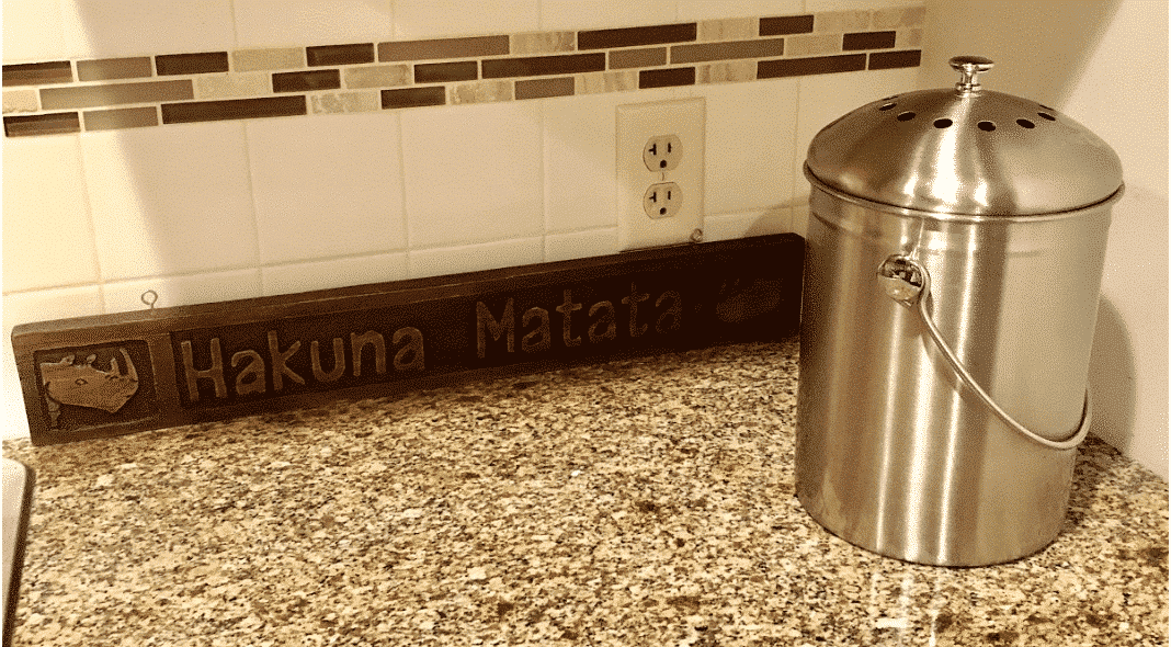 Basic Tips for Composting At Home 2020 - Soltech