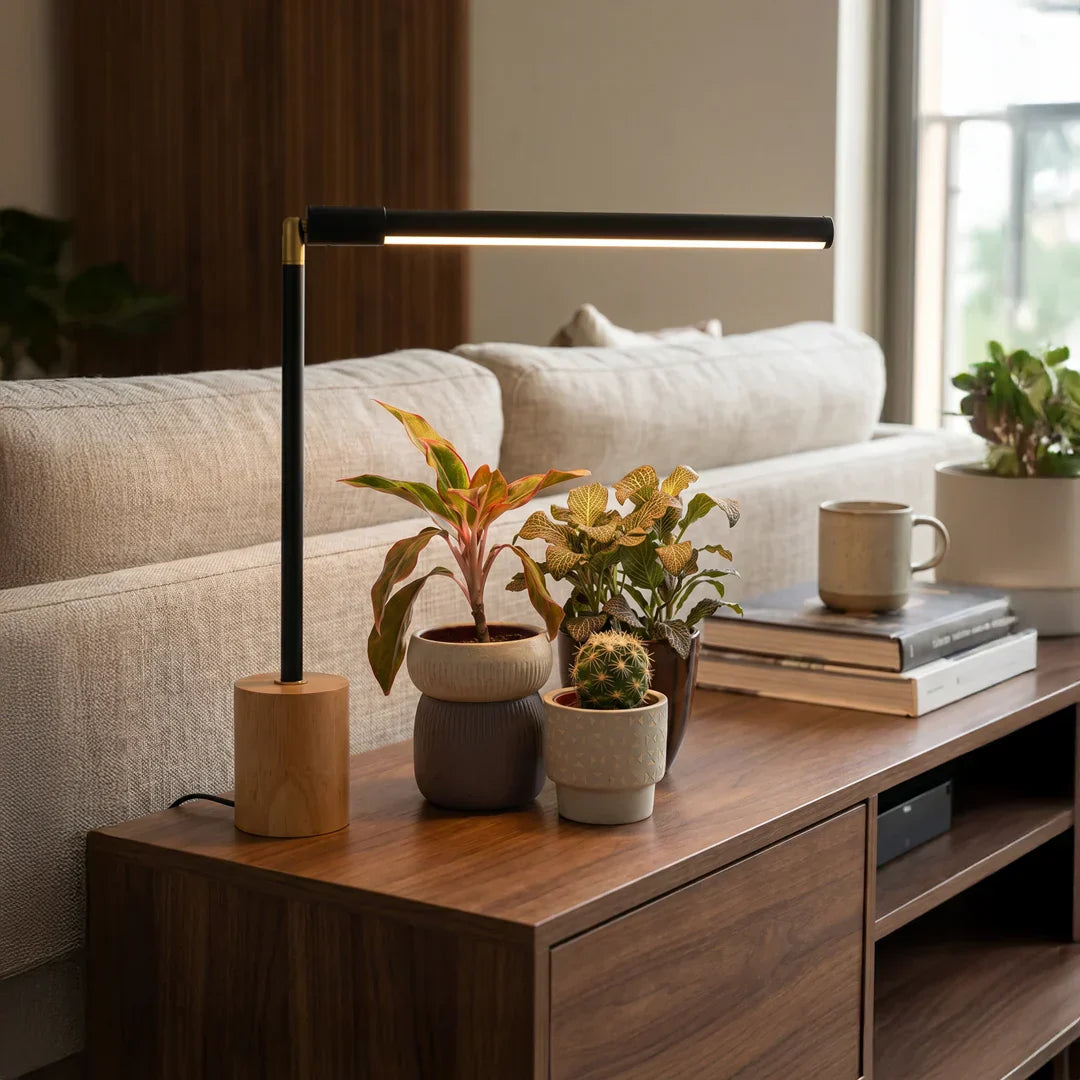 What Are the Best Low-Maintenance Houseplants for Biophilic Design ...