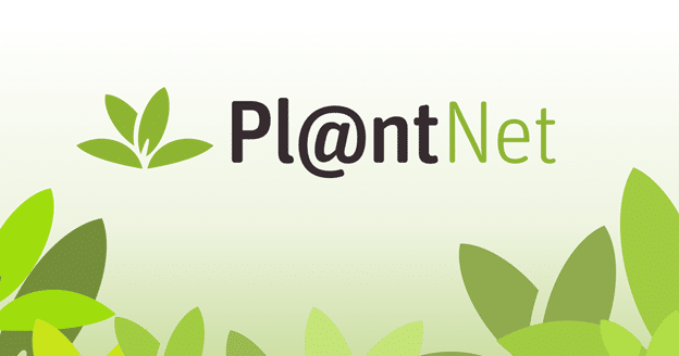 Top 5 Plant Identifier Apps - Soltech