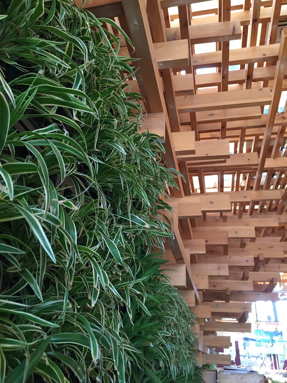 Living Wall Lighting Guide - Soltech