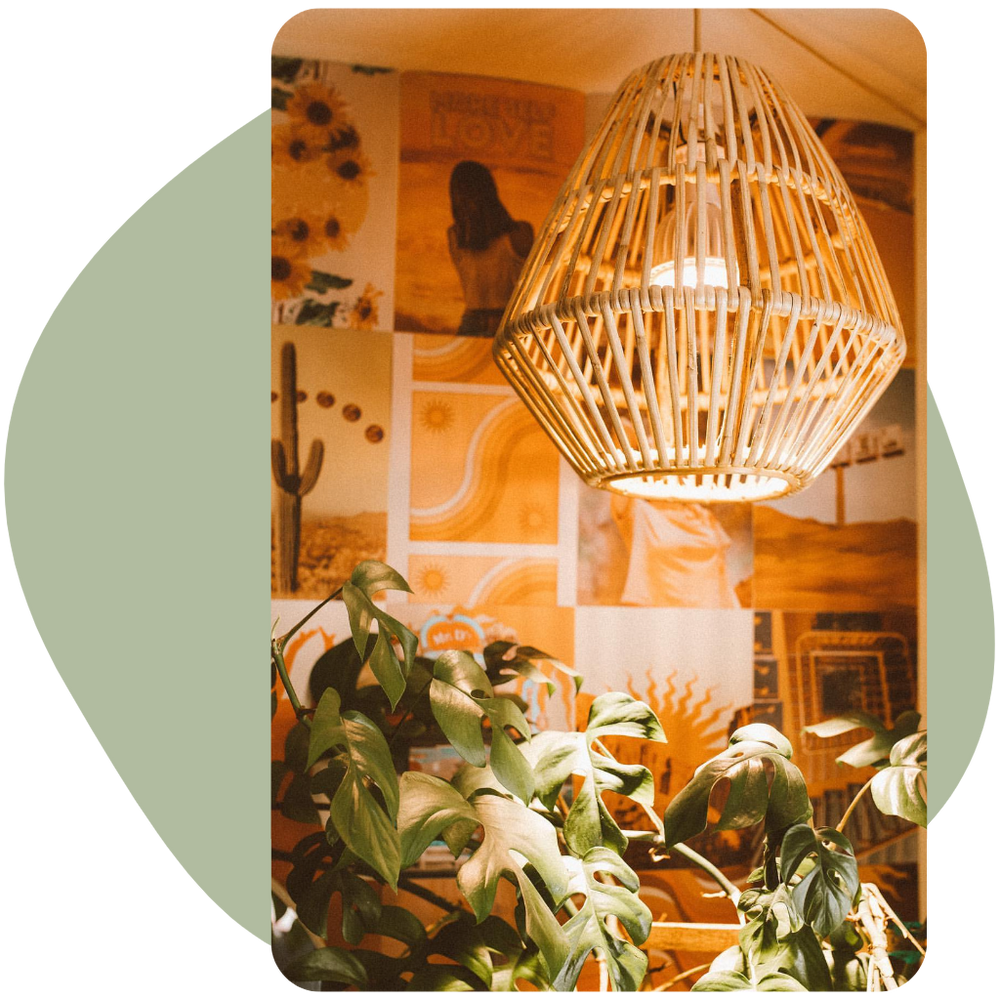 Indoor Plant Lighting For Home and Commercial Decor - Soltech