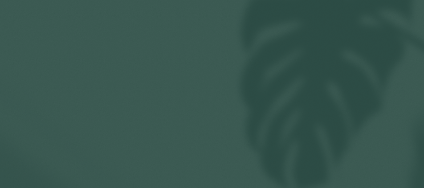 Indoor Plant Guide: How to Grow and Care for Houseplants - Soltech