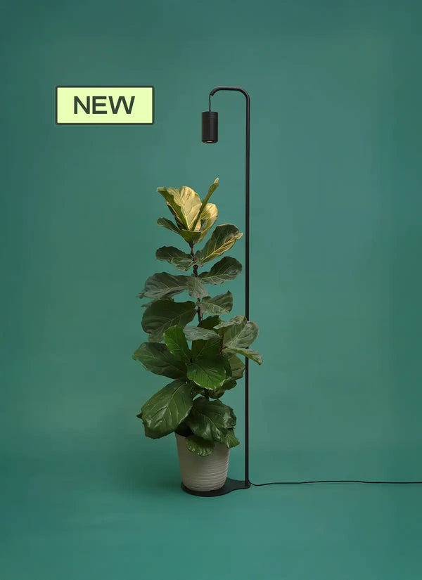 Aspect™ Grow Light with Stello™ Pendant Stand Set - Soltech