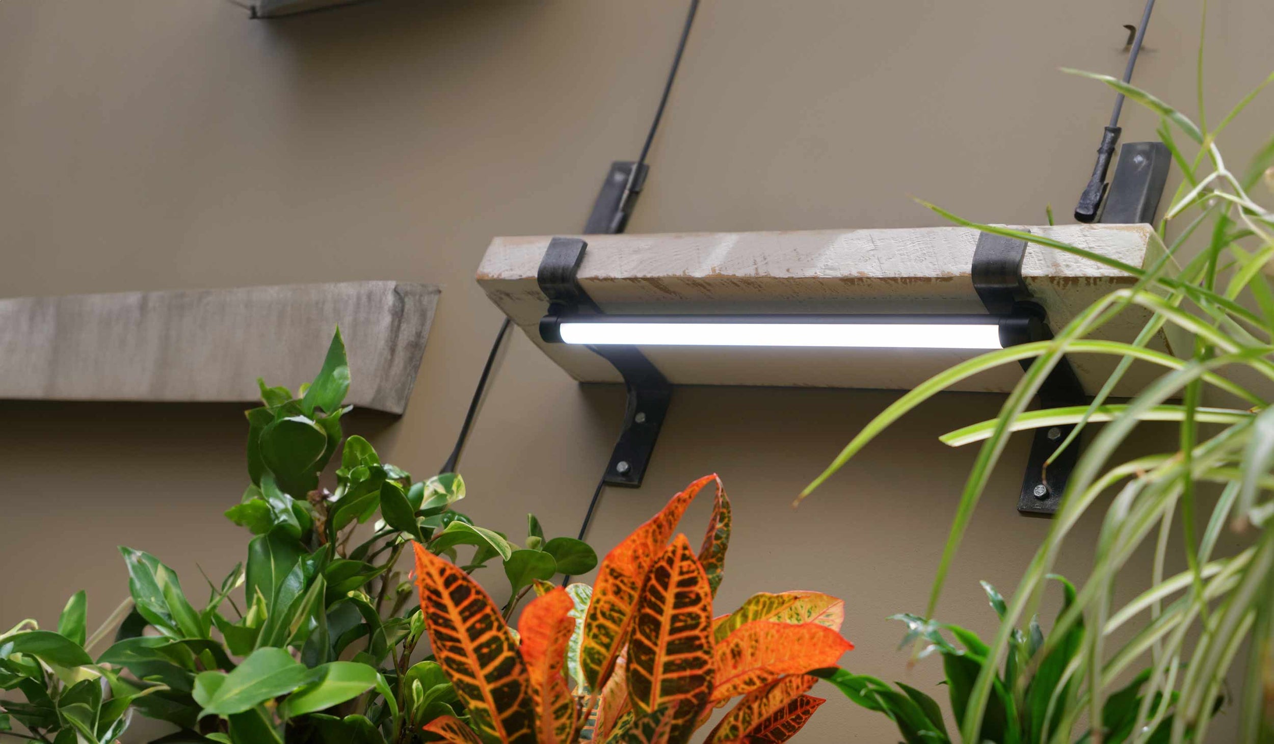 Indoor Plant Lighting For Home and Commercial Decor - Soltech