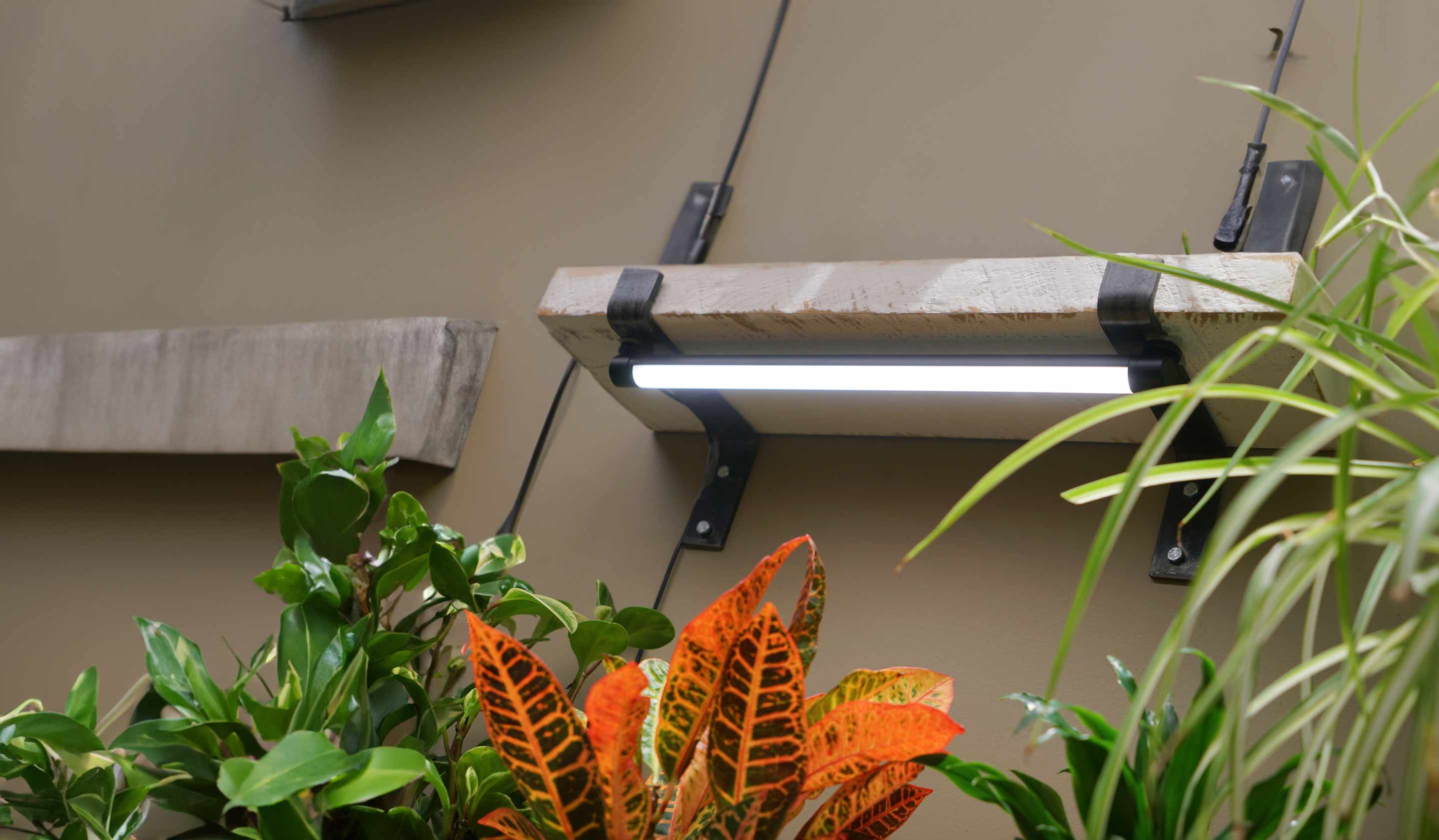 Indoor Plant Lighting For Home and Commercial Decor - Soltech