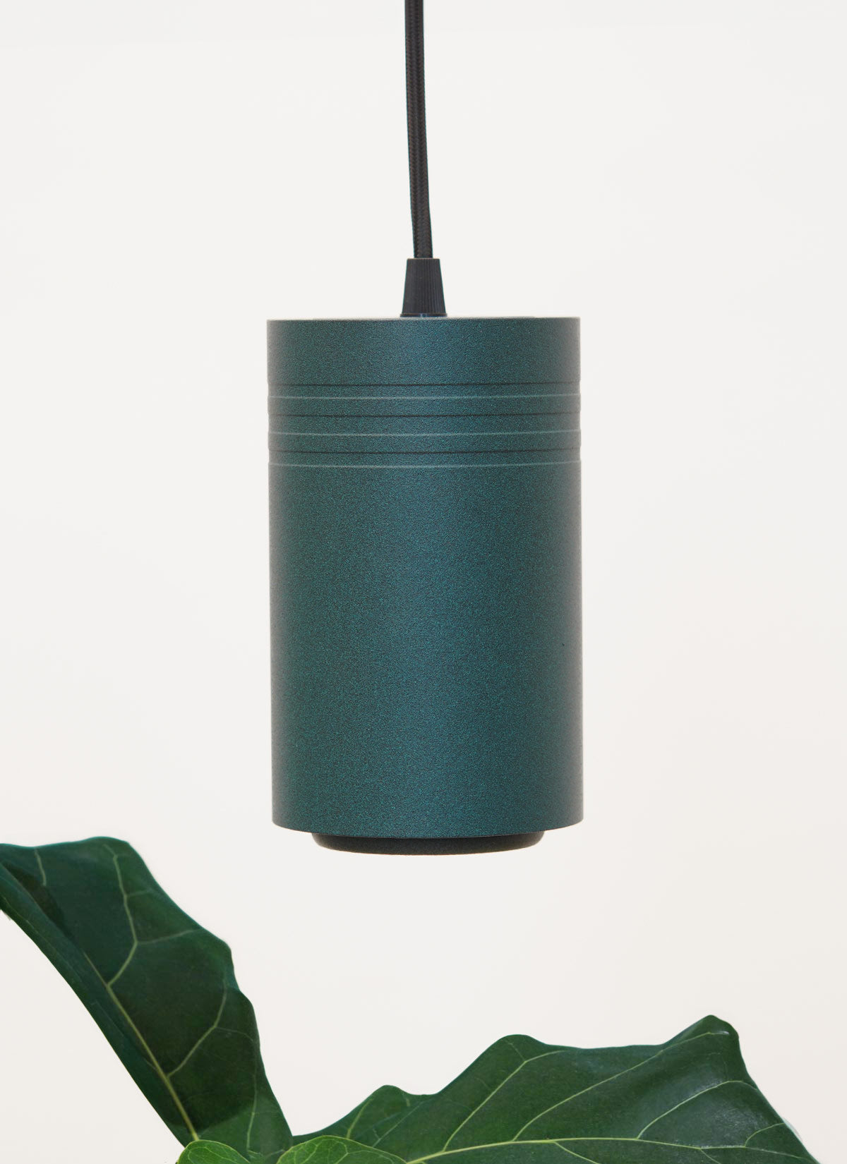 LED Grow Lights | Grow Lamps for Indoor Plants | Soltech