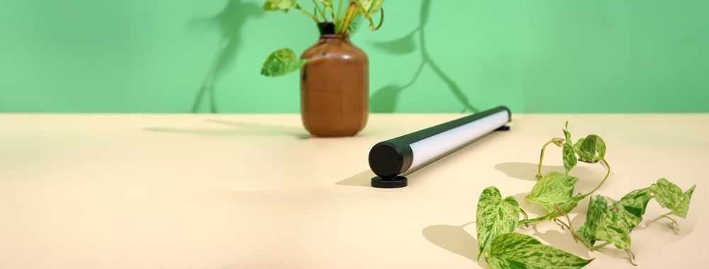 Grove Collection - Soltech