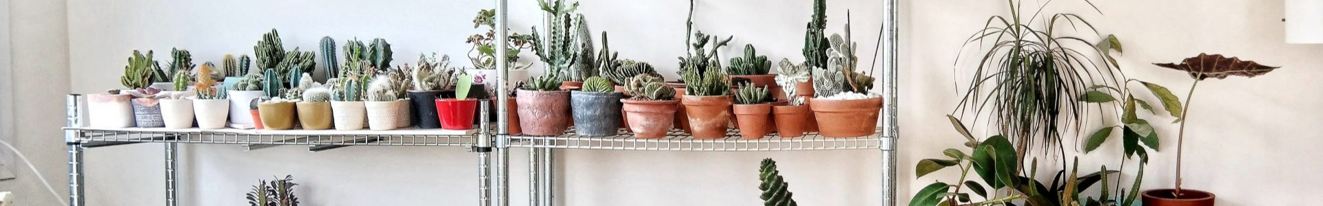 Hanging Grow Lights for Plants - Soltech