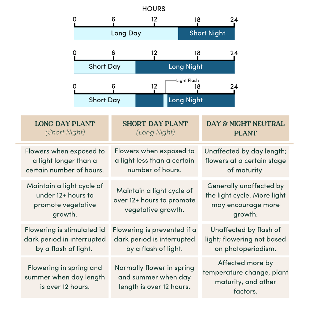 Aspect Grow Guide - How to Grow Plants with the Aspect Grow Light - Soltech