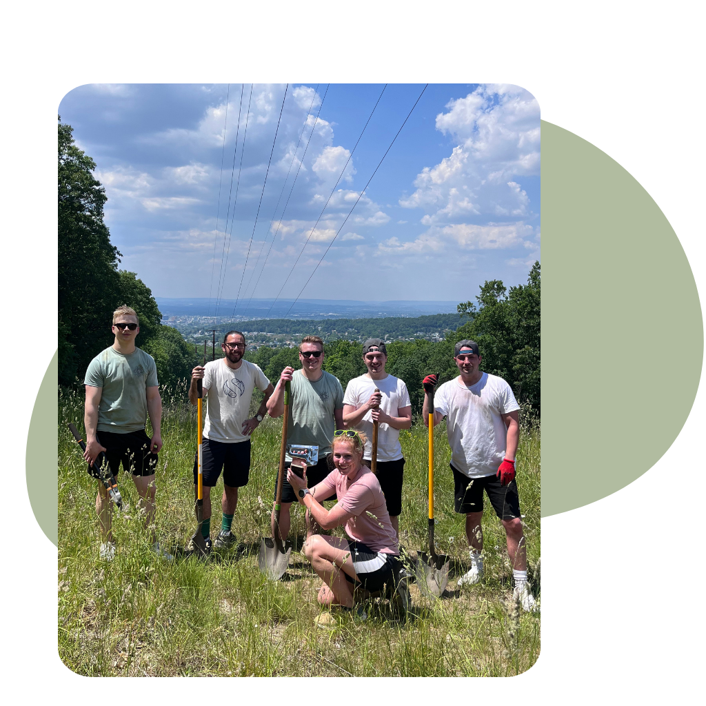 Indoor Plant Lighting For Home and Commercial Decor - Soltech