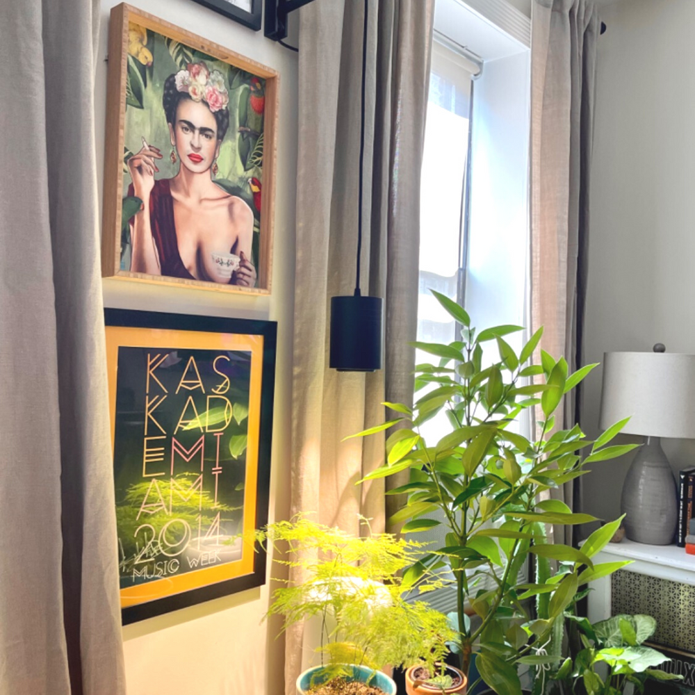 Rise & Shine Growlight Bundle - Soltech