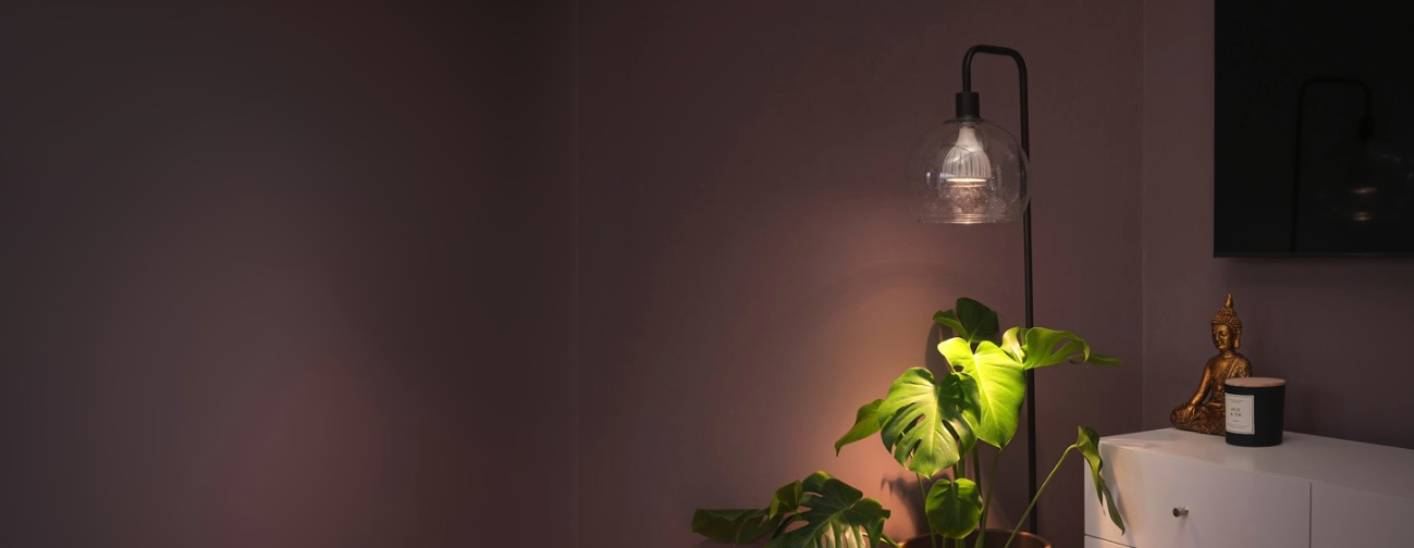 Loyalty Rewards Program - Soltech