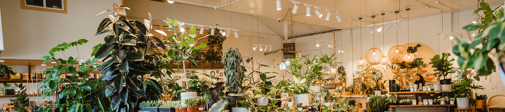 Soltech Solutions Wholesale