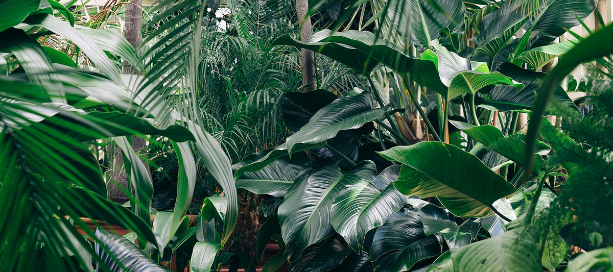 Commercial Projects - Soltech