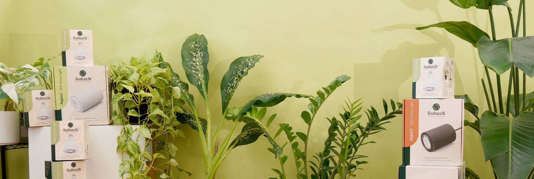 Soltech Solutions Wholesale