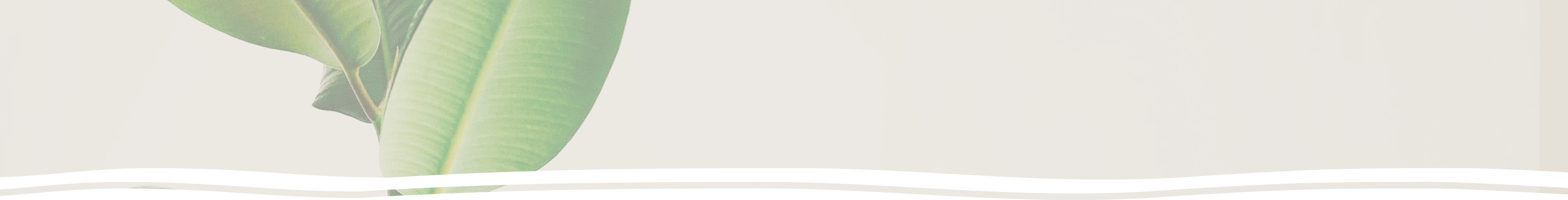 Contact Us | Soltech Solutions