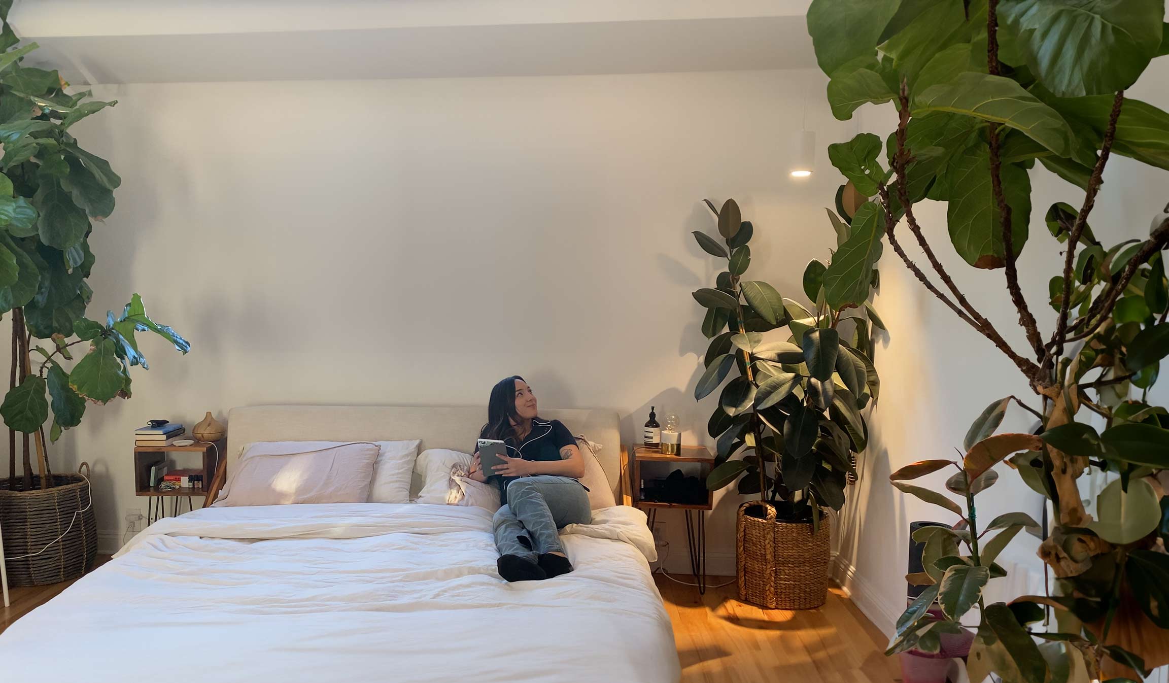 Indoor Plant Lighting For Home and Commercial Decor - Soltech