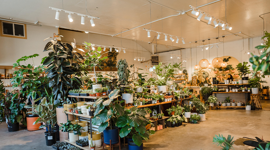 Soltech Solutions Wholesale