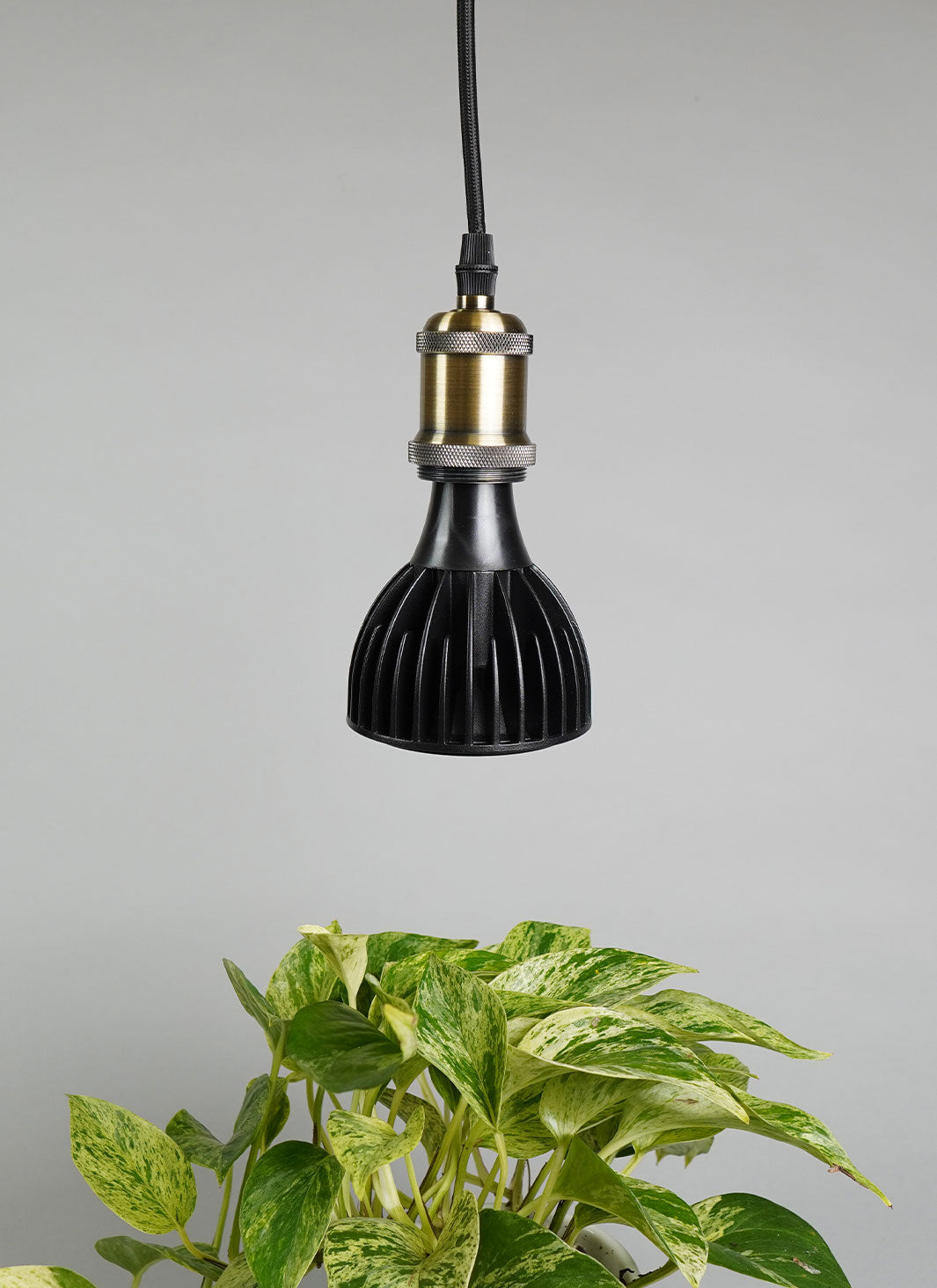 Vita Pendant Kit - Soltech