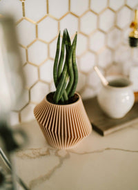 Disc Modern Indoor Planter - Soltech