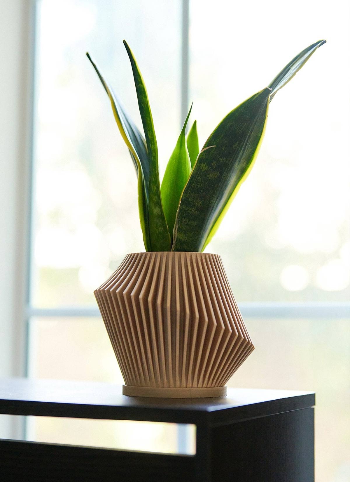 Disc Modern Indoor Planter - Soltech